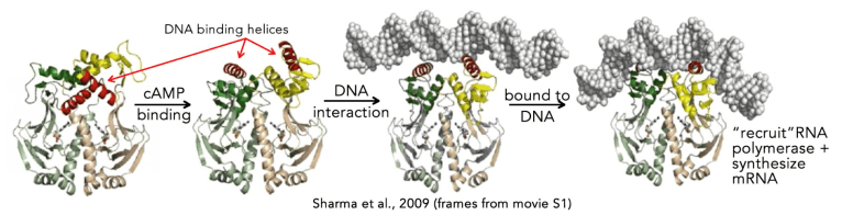 bioliteracy / biofundamentals – On understanding modern biology and its ...